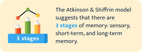 Information Processing Theory What It Is And How It Can Enhance Learning