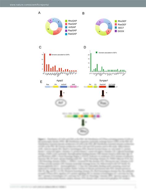 Solution Synaptic Gap And Gef Complexes Cluster Proteins Essential For