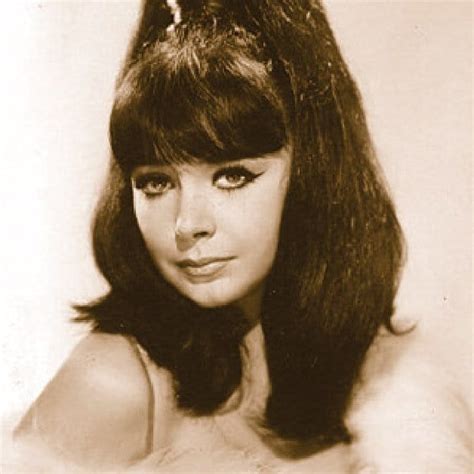 Image Of Zulma Faiad