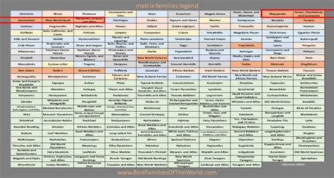 Account Galliformes Bird Families Of The World