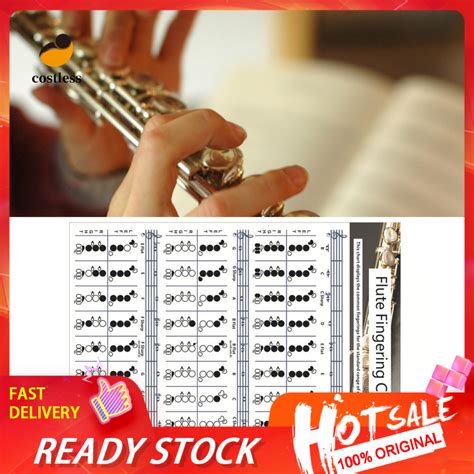 Cod Professional Guitar Flute Chord Fingering Chart For Beginners