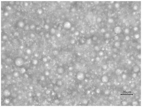 Polyurethane Peppermint Oil Microcapsule And Preparation Method Thereof