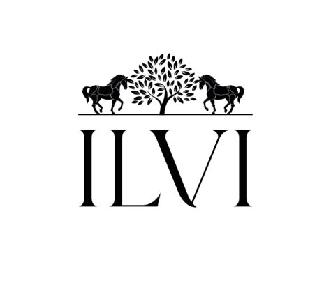 Премиум бренд турецкой одежды и обуви Ilvi ищет креативного дизайнера Вакансия на удаленку