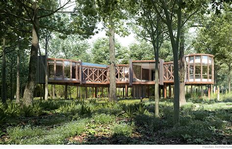 Ewen Tree House By Hawkes Architecture Do Shop