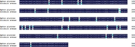 Sequence Alignment Of Chs1 In Soybean Aphid Aphis Glycines And Grain