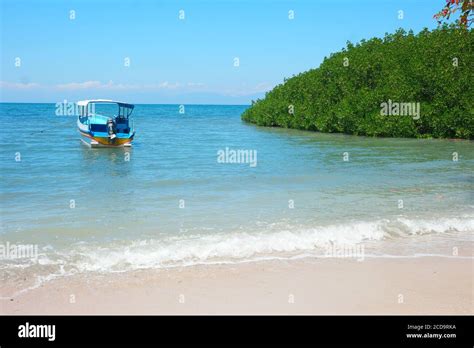 Beautiful Shot Of The Beach From Pantai Bama Beach Baluran National