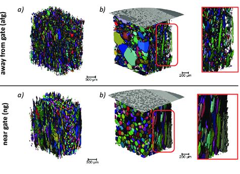 3d Reconstruction Of Cell Volumes Based On 97 A All Cells Between