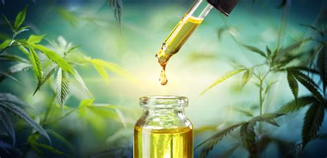 Perspectives And Pitfalls In Potency Testing Of Cannabinoids By High Performance Liquid