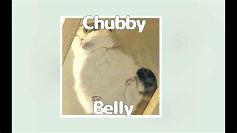 So Soft Chubby Belly Subliminal 💗 Youtube