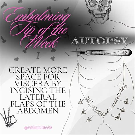 Monica During The Post Mortem Autopsy The Internal Organs Are Removed By The Pathologist For