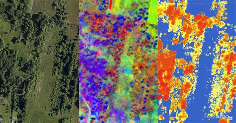 When A Tree Is A Threat