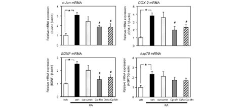 Expression Profile Of Immediate Early Genes Iegs Induced By Ka With