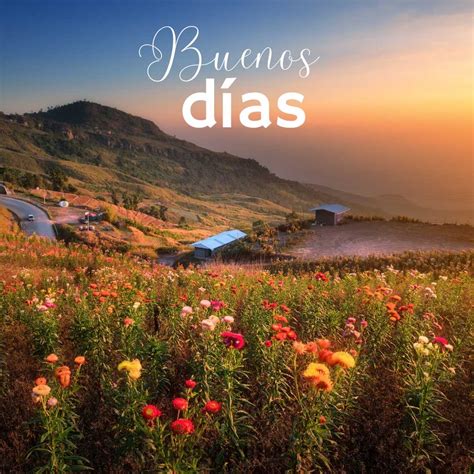 150 ImÁgenes De Buenos DÍas ☀️😎🌻 Con Frases Para Alegrarte El Día
