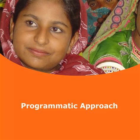 Programmatic Approach External Presentation May 2011 Ppt