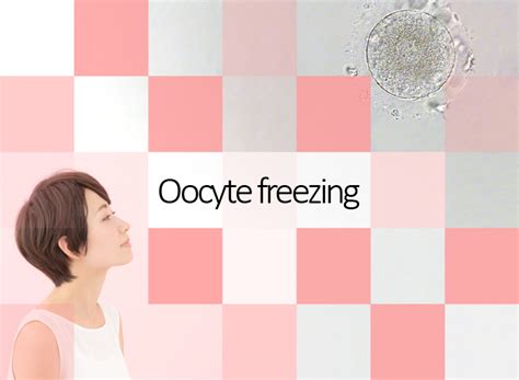 Oocyte Freezing Infertility Treatment Ivf Artificial Insemination