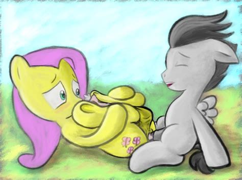 Rule 34 Chaosdrop Fluttershy Mlp Friendship Is Magic Intersex My