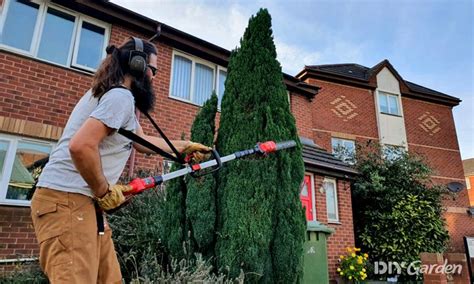 10 Best Telescopic Pole Hedge Trimmers Tested 2023 Review