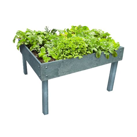 Moestuintafel Op Poten Met 16 Vakken Bakken