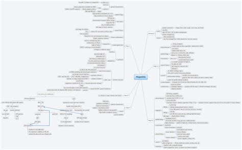 Cell Mind Map