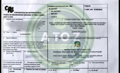 What Is Cites And Why It Matters For Timber Exporters