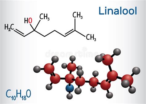 Linalool Molecule Structural Chemical Formula And Molecule Model Stock