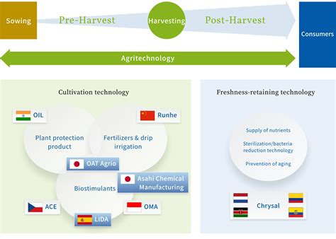 Involvement Of Oat Group In The Agricultural Value Chain Oat Agrio Co