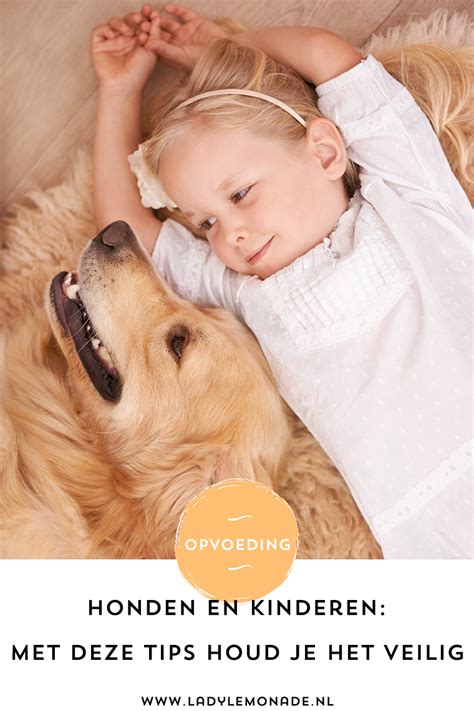 Honden En Kinderen Zo Laat Je Ze Veilig Samen Opgroeien Lady Lemonade