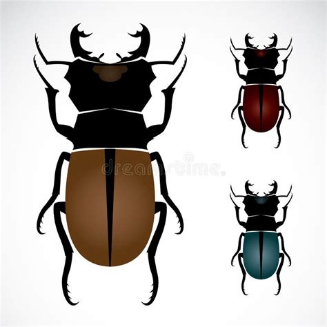 Stag Beetle Stock Vector Illustration Of Macro Garden 33985980