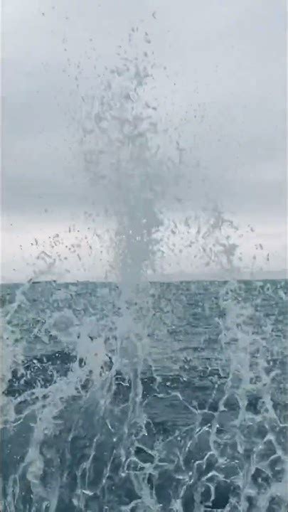 Short волны море Vladivostok Primorye Russia Youtube