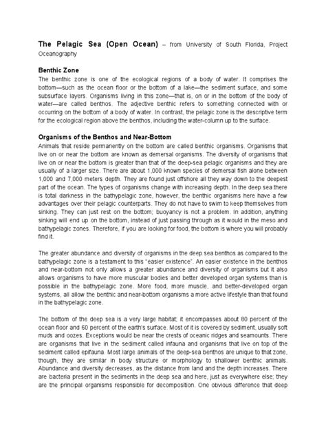 The Pelagic Sea Open Ocean Benthic Zone Pdf Hydrology