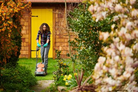 Ridding Your Lawn Of Weeds Is Easier Than You Think Follow My Forking