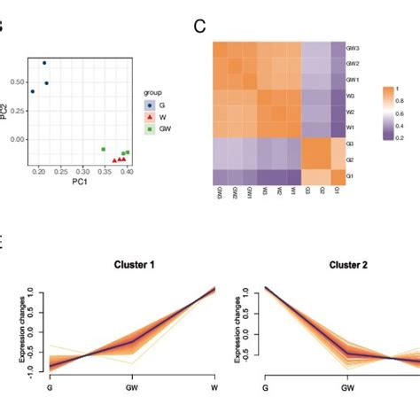 A Three Leaf Color Types As The Degree Of Chlorophyll Deficiency In Download Scientific