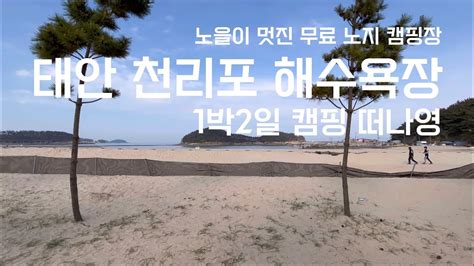 Camping 무료 노지 캠핑장 천리포 해수욕장으로 1박2일 캠핑 떠나영🏕️ Youtube