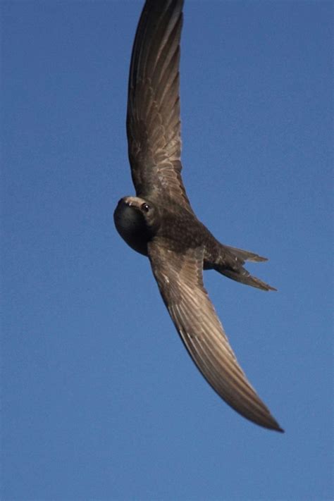 테일러 스위프트 새 앨범 발매 기념 극장 이벤트로 북미 박스오피스 1위 차지※ 해당 이미지는 기사 내용과 관련이