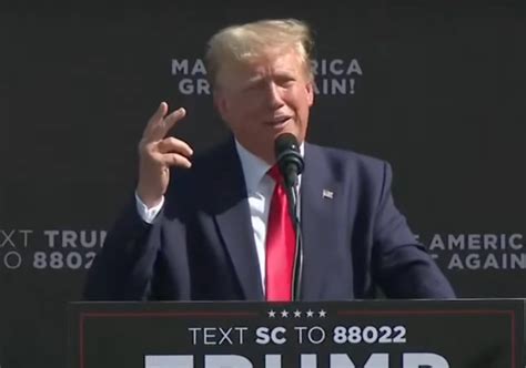 Judge Donald Trump Defrauded Banks Insurers As He Built Empire