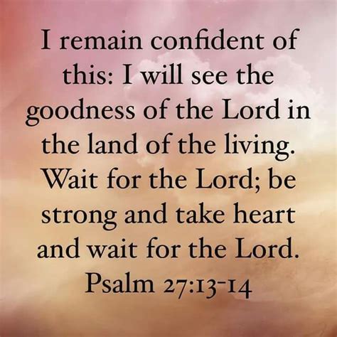 Psalm 2713 14 Psalm 27 13 Bible Verse Pictures Inspirational Bible