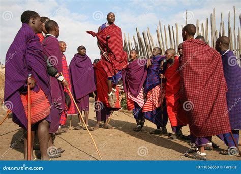 Masai Dance Editorial Stock Image Image Of Clothes Poverty 11852669