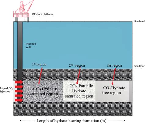 Schematic Of The Hydrate Growth Process During Continuous Co 2