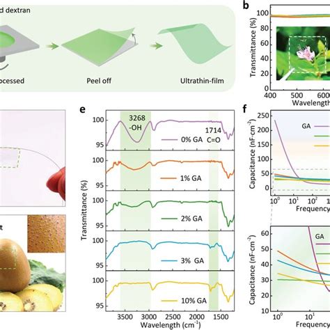 Characteristics Of Biodegradable Dextran Membranes With Different Ga