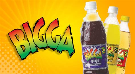 Bigga Website Banner Wisynco