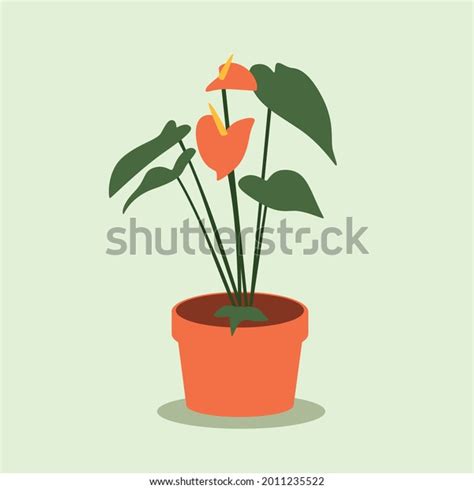 Flat Vector Design Anthurium Leaf Indoor Stock Vector Royalty Free