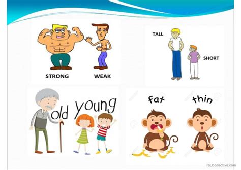 Physical Appearance Andpersonality English Esl Powerpoints