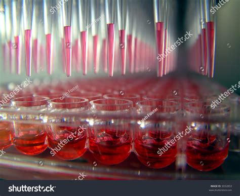 Laboratory Bioassay At Hannah Herlitz Blog