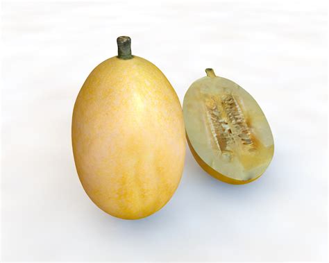 3d Squash Model Turbosquid 1544605