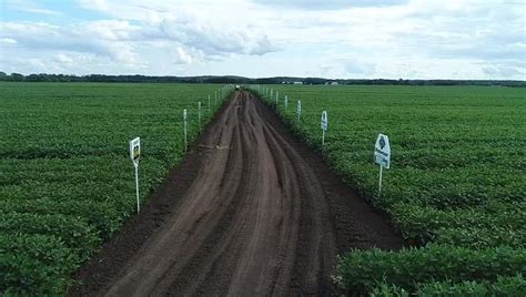 Dynamic Cropping Systems Home Facebook