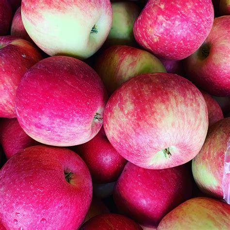 Chary Picker Country Market 721 Photos Farmers Market 18 King St