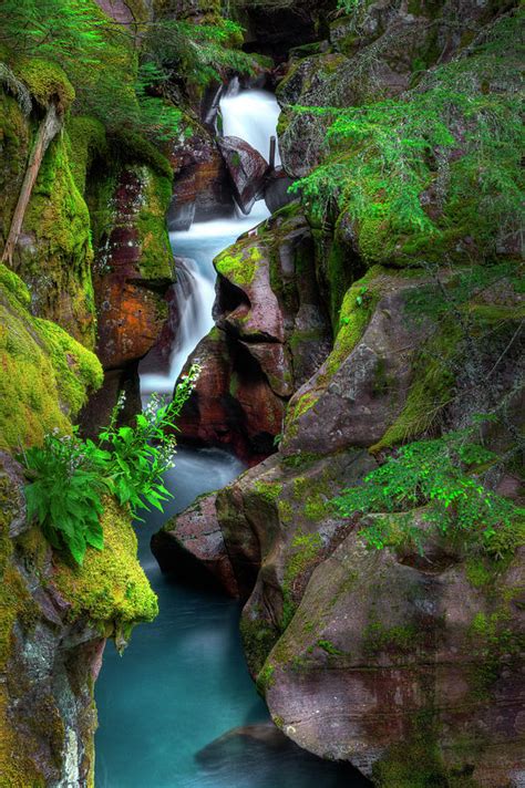 Avalanche Creek Glacier National Park Montana Photograph By Bruce