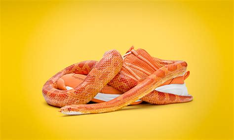 Eric Herrmann San Francisco Advertising Photographer