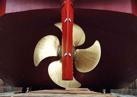 Mgps Wilson Walton International