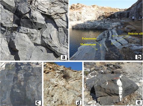 A Horizontal Folds Horizontal Axial Planes And Fold Axis With Radial Download Scientific